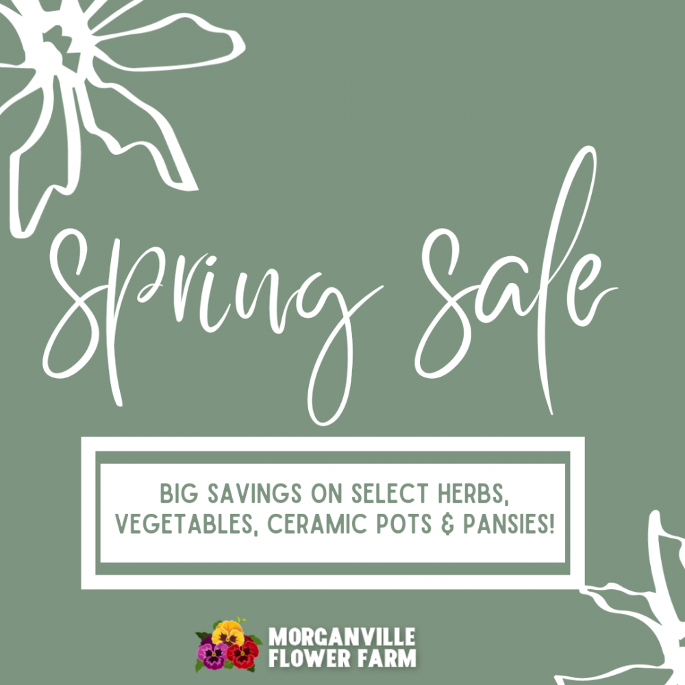 Morganville Flower Farm